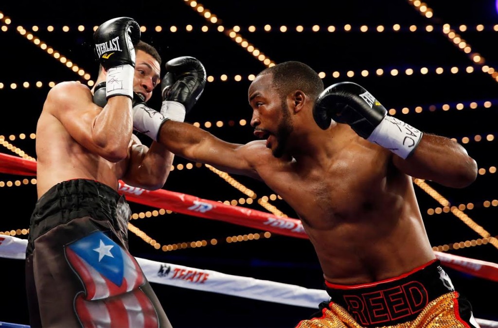 Mike Reed improves to 15-0 with win at MSG, eager to return to action ...