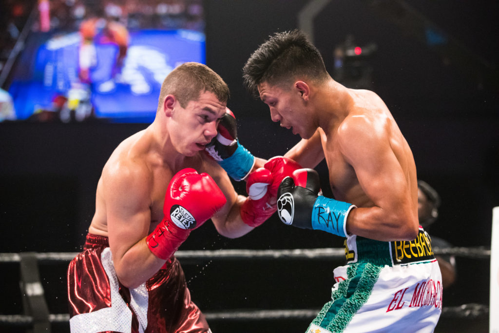 Miguel Flores headlines Toe to Toe Tuesdays on Feb 21st - ProBoxing ...
